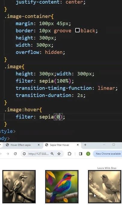 Hover Effect Sepia Scale And Grayscalecsshovereffect Sepia