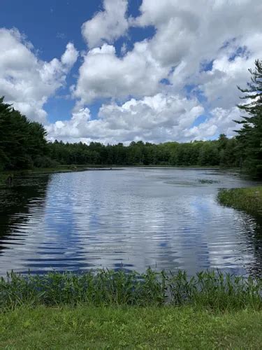 10 Best Trails And Hikes In Muskoka Lakes Alltrails