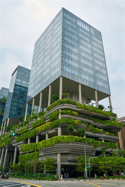 The Role Of Structural Engineering In Green Buildings Explores The