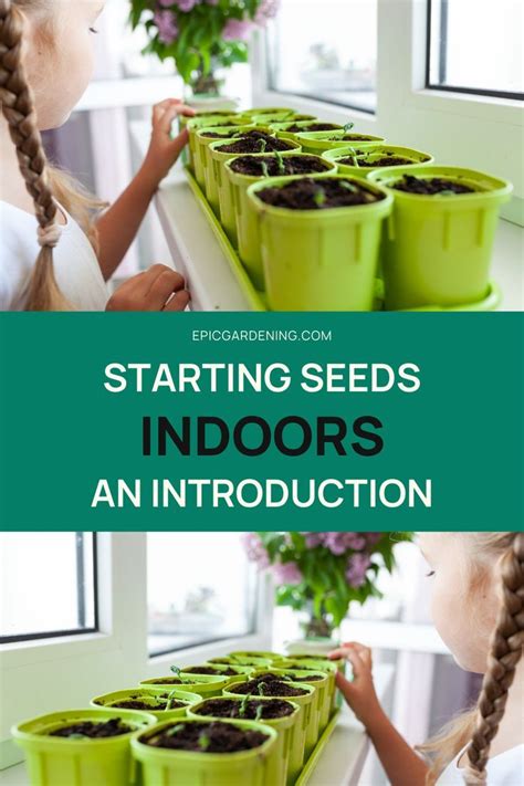 Starting Seeds Indoors An Introduction Artofit