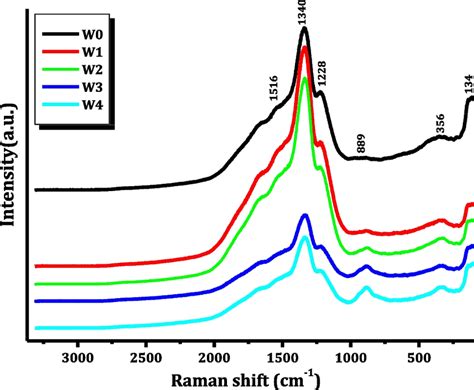 Raman Spectra Of All Studied Glass Samples W0w4 Download