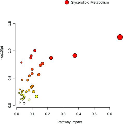 Joint Pathway Analysis Integration Of Hg Cultured Bewo Ct Cell