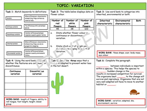 Variation Assessment Teaching Resources