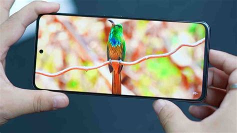 Vivo V26 Pro Price In Pakistan Full Specifications Mobilehms