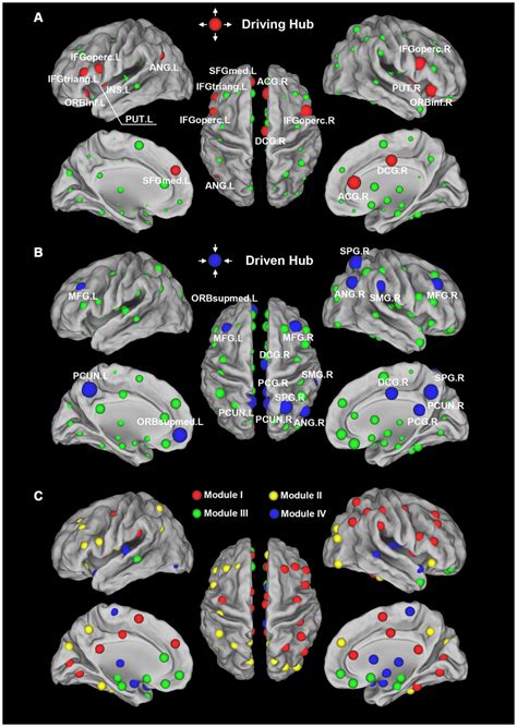 Hub Distribution And Modular Architecture Of The Human Brain Functional