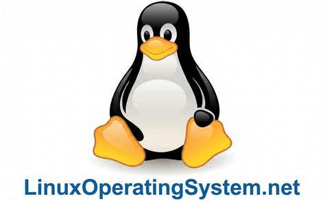 Paste Command Line In Linux Linux Expert Better 2026