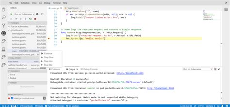 Debugging Go Application Remotely Not Working When Breakpoint Is Hit