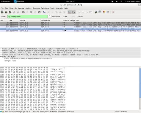 Linux Why Netbeans Is Trying To Connect To A Debug Proxy Stack