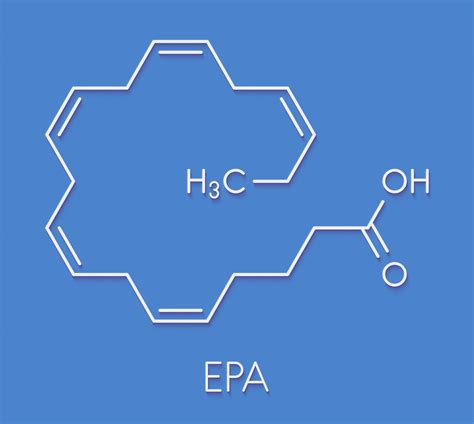 EPA - DHA - Eicosapentaensäure - Docosahexaensäure - Cosmacon