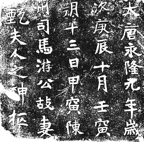 游君妻甄氏柩記 隋唐五代墓志 图片