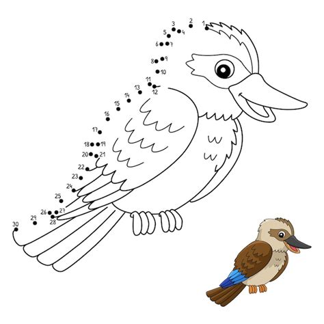 Coloriage Point à Point Kookaburra Vecteur Premium