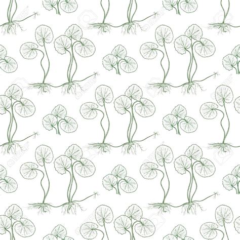 63 Kola Background