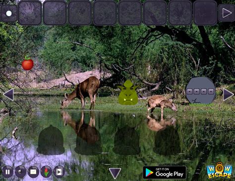 Wow Reserve Forest Escape Play Online On Flash Museum 🕹️