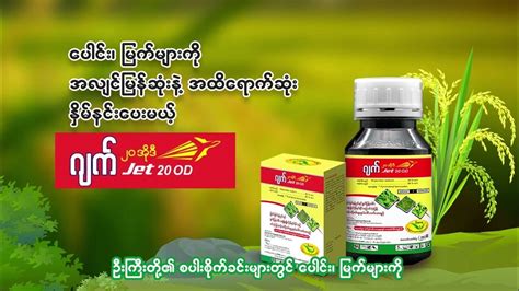 စပါးရွေးချယ်ပေါင်းသတ်ဆေး ဂျက် လာပါပြီ Youtube