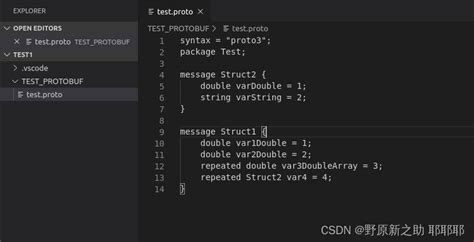 使用Protobuf进行跨语言的数据传输 proto多语言通信 CSDN博客