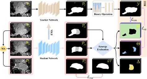 Figure 1 From Synergy Guided Regional Supervision Of Pseudo Labels For