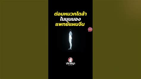 ต่อมหมวกไตล้าในมุมมองแพทย์แผนจีน Youtube