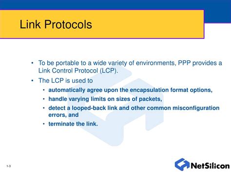 PPT PPP API PowerPoint Presentation Free Download ID 180947