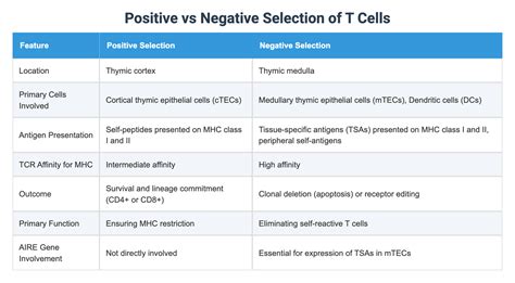 Positive Vs Negative Selection Of T Cells