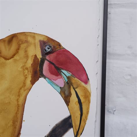Saffron Toucanet — Flora Wallace
