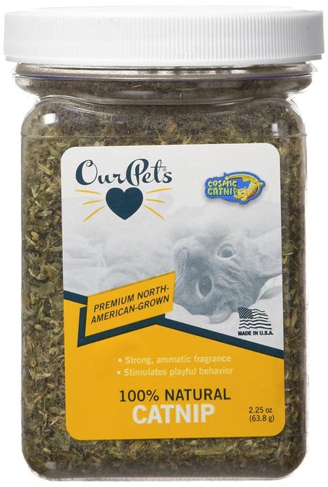 Best Catnip For Cats In 2025 How To Make Your Feline Happy And Adorable