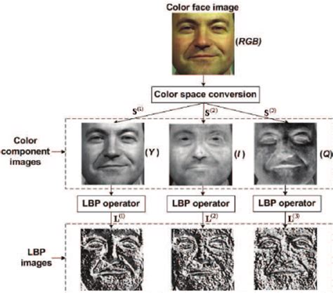 Visualization Of Lbp Operation Process Performed On Each Color Download Scientific Diagram