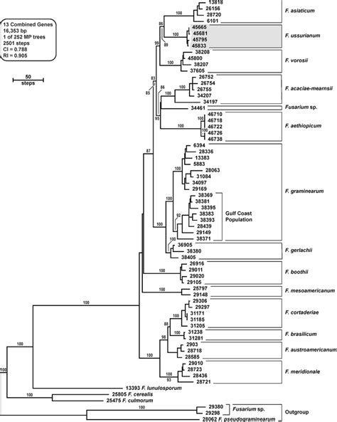 Multilocus Phylogeny Of Species Within The B Type Trichothecene