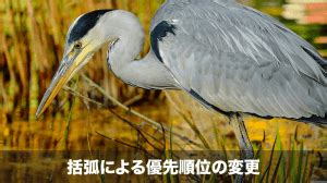 Java入門括弧を使った演算子優先順位の変更