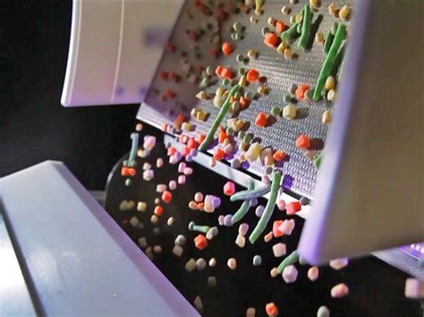Every Resource Counts TOMRA Foods Sensor Based Solutions For Sorting