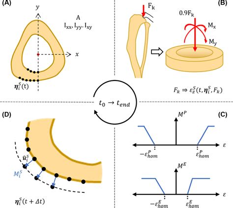 Bone Adaptation Algorithm Flowchart The Model Follows An Iterative