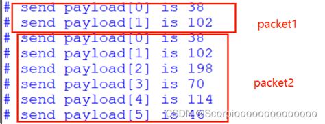 Sv 路科 V0实验：lab2 产生并发送数据包路科v0lab2 Csdn博客