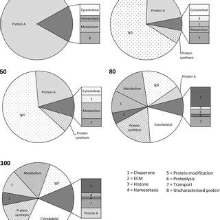 Dynamic Binding Capacity DBC At Breakthrough Of Cycled Resin The Download Scientific