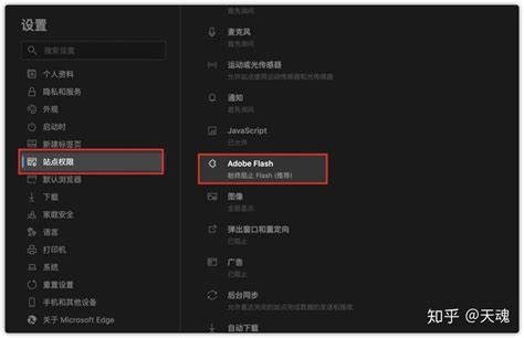 Microsoft Edge 浏览器使用指南 知乎