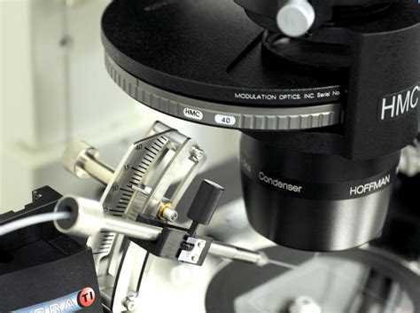 Pgt Testing Fertility Clinic In Cyprus Pgt Testing Fertility Clinic In Cyprus