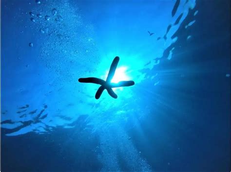 【沖繩藍洞】私人海灘潛水 免費gopro照片和影片立即傳輸到您的智慧型手機 免費毛巾和涼鞋餵食 Kkday