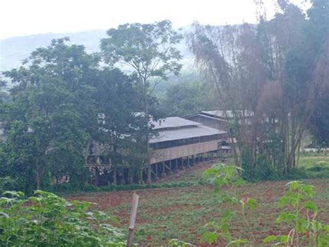 တောင်ကြီးမြို့ ကျေးရွာအချို့တွင် ကြက်ခြံ အနံ့ဆိုးများကြောင့် ဒေသခံများ အခက်ကြုံ