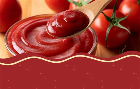 About Us Tomato Paste Industry