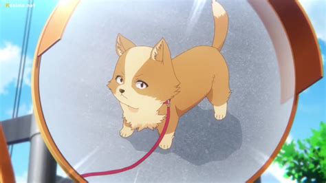 Inu ni Nattara Suki na Hito ni Hirowareta 2 Sub Español Online gratis