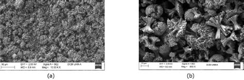Micrograph Of Cu2ohpo4 A Obtained Without Solvent B Obtained