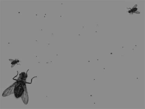 Swarm Of Flies v1 0 u3d ICUStation 专注于unity3d资源