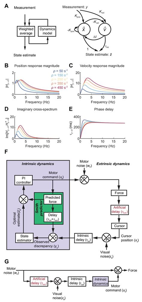 Figures And Data In Extrinsic And Intrinsic Dynamics In Movement Intermittency Elife