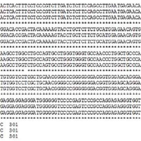 Representative Dna Sequence Alignment Of Blg Gene 301 Bp Among