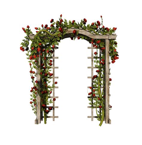 400 000 Free Arch Background And Arch Images Pixabay