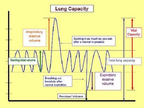 Difference Between Forced Vital Capacity And Vital Capacity