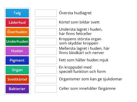 Hud Match Up