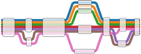Pan Genome Graph Construction Wikipedia