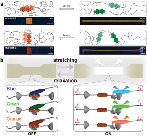 Rylene‐based Ofps A The Activation Of Excimer‐forming Perylene
