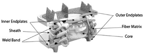 M6 C Cervical Disk Prosthesis Showing The Cross Section View See