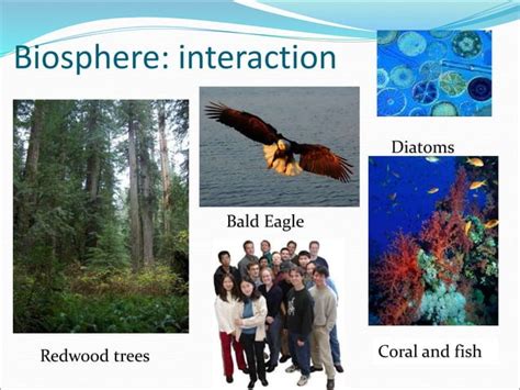 Planet Earth And Geology Shorts Introductory Slidesppt