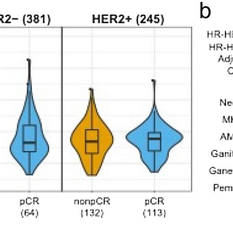 Association Between Ror1 And Pcr Within Hrher2 Subtypes A Violin Plot